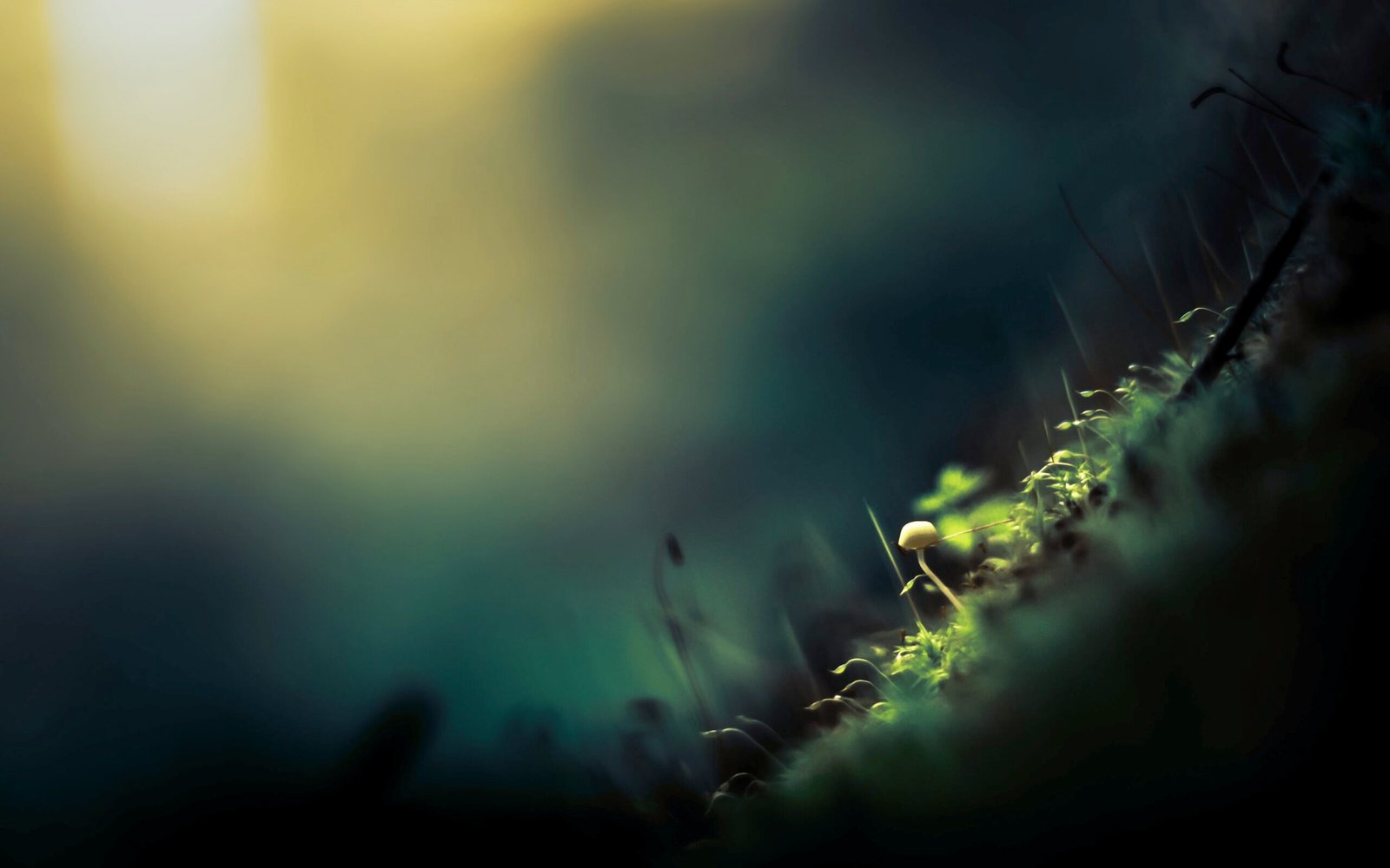 Psychology, Nature & Consciousness - Instituto Bioalkimia